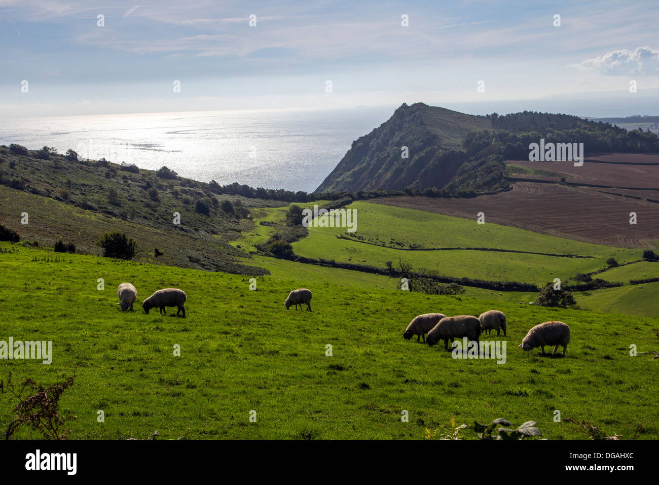 Jurassic coast world heritage site dorset east devon coast hi-res stock ...