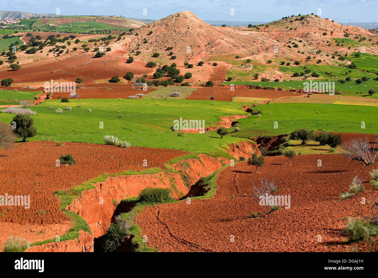 Landscape of Essaouira, Morocco, Africa Stock Photo - Alamy