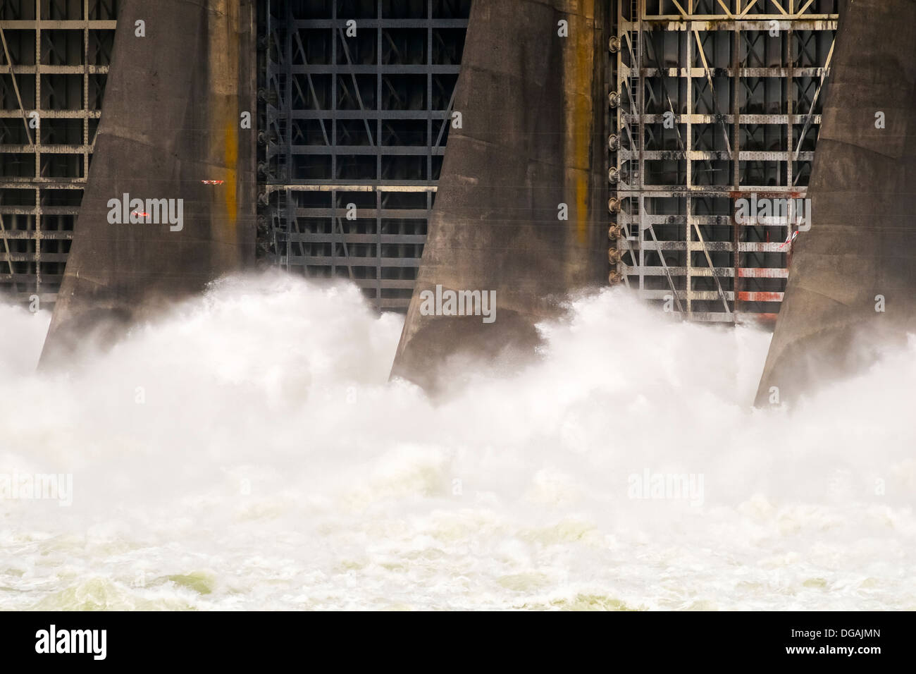 Water from the Columbia River rush through the locks at Bonneville Dam ...