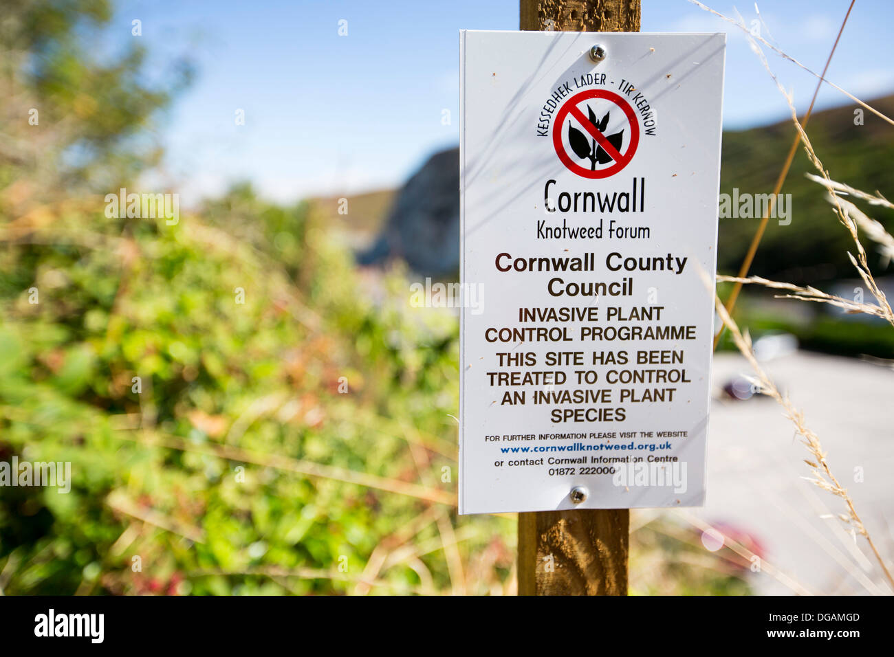 Invasive weed control hi-res stock photography and images - Alamy