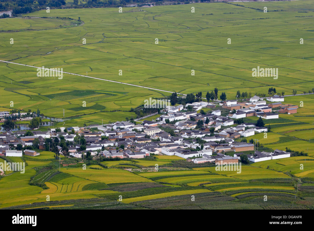Paddy bell hi-res stock photography and images - Alamy