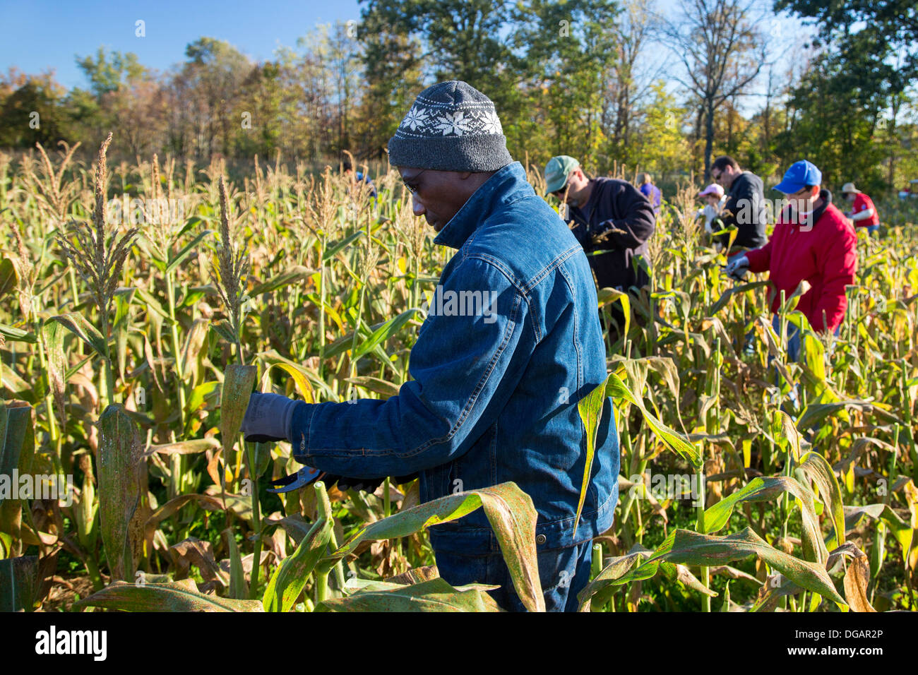 Charity work hi-res stock photography and images - Alamy