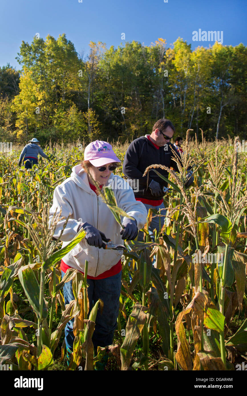 Charity work and agriculture hi-res stock photography and images - Alamy