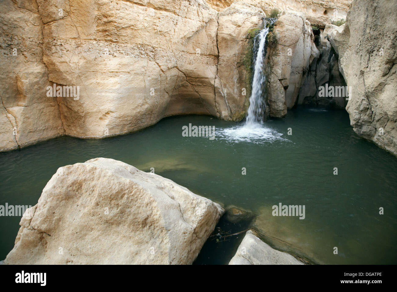 Mountain oasis of tamerza hi-res stock photography and images - Alamy