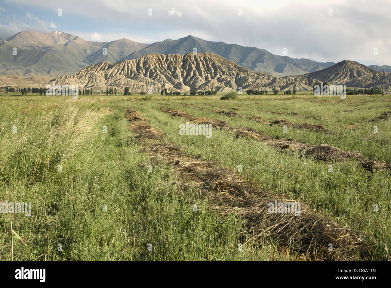 Kochkor district hi-res stock photography and images - Alamy