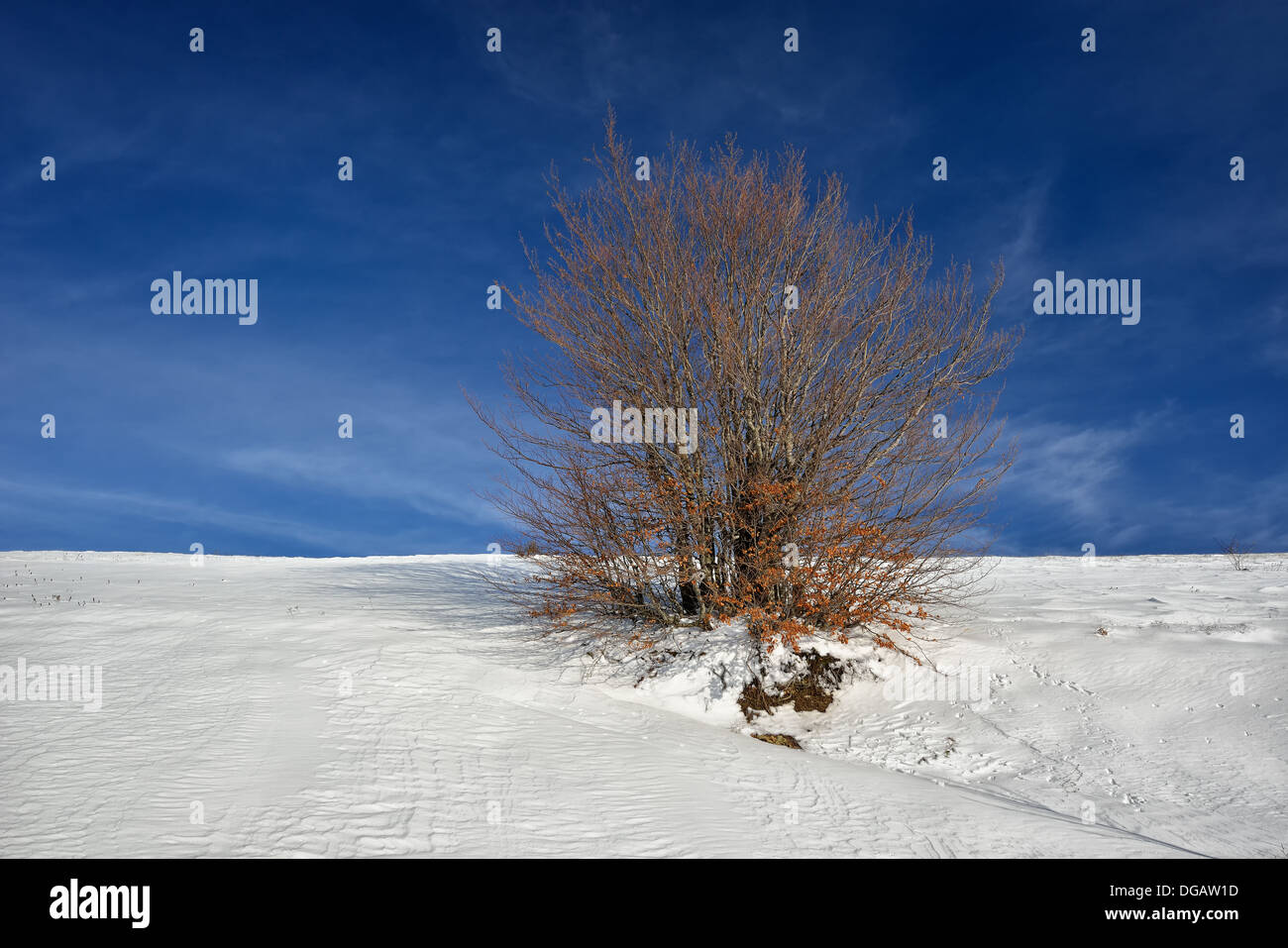 Blue sky snowscape hi-res stock photography and images - Alamy