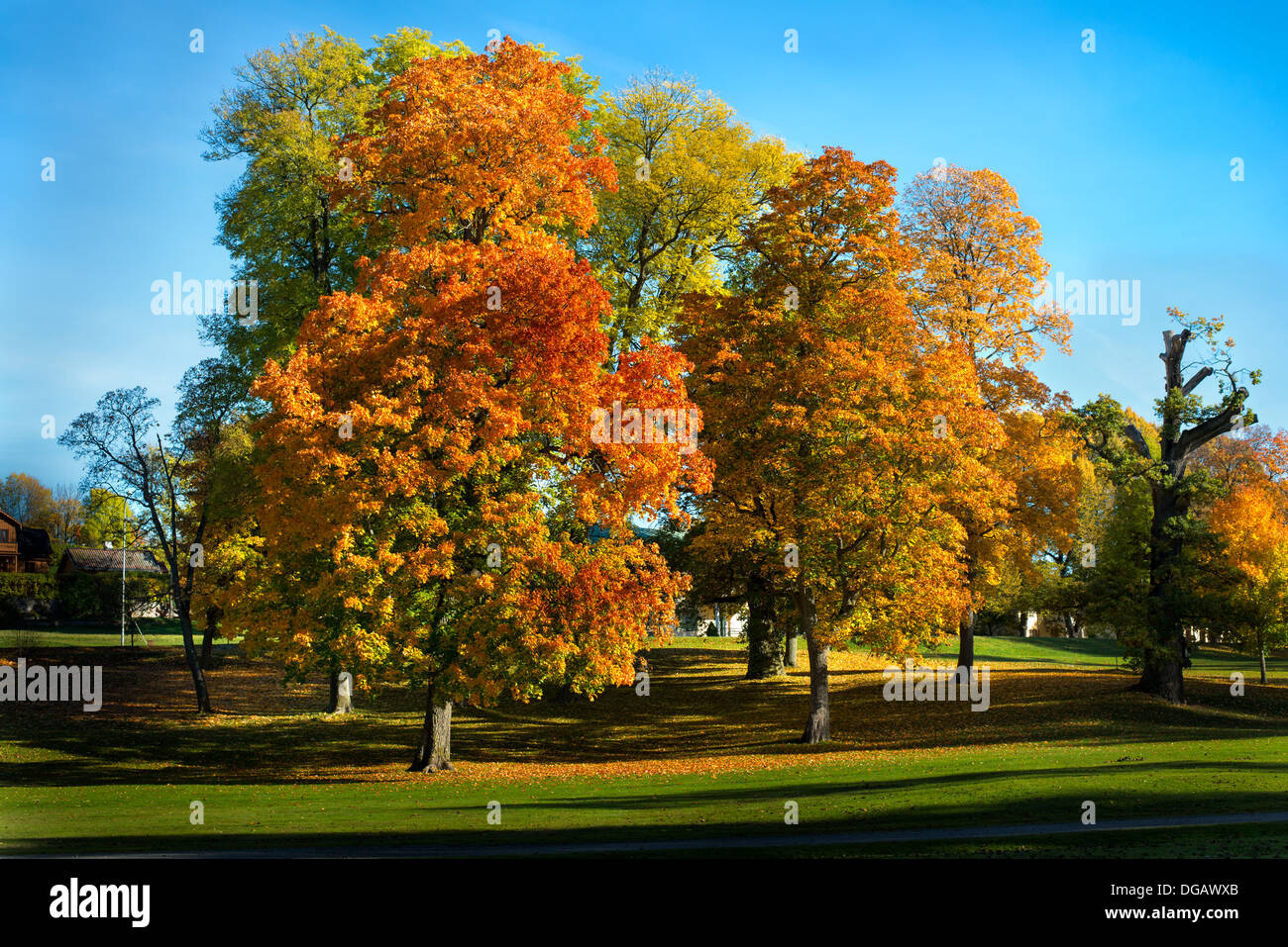 Stockholm fall hi-res stock photography and images - Alamy