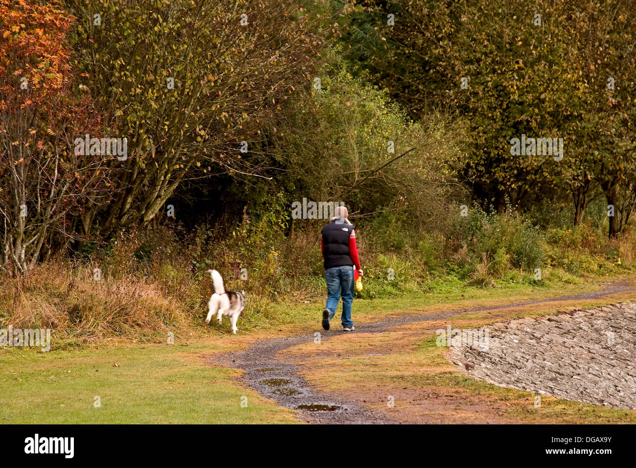 A woman walking with their dog along Clatto park path at Autumn-time in ...