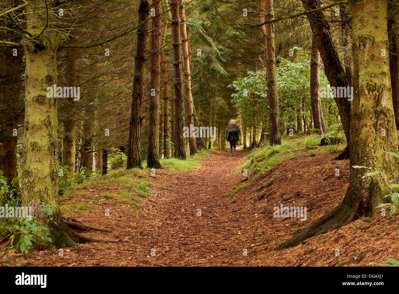 Woman at clatto dundee hi-res stock photography and images - Alamy