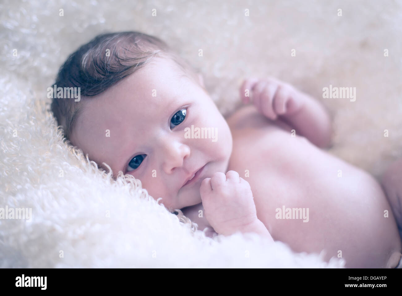 Infant Female with blue eyes wide open Stock Photo - Alamy