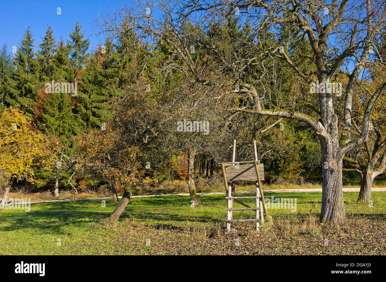 Hunting Seat Under Apple Trees Stock Photo - Alamy