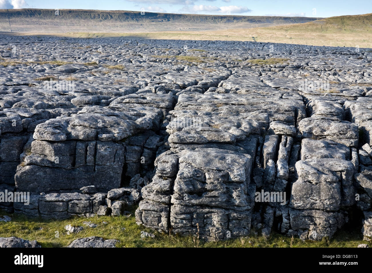 Clint and grike hi-res stock photography and images - Alamy