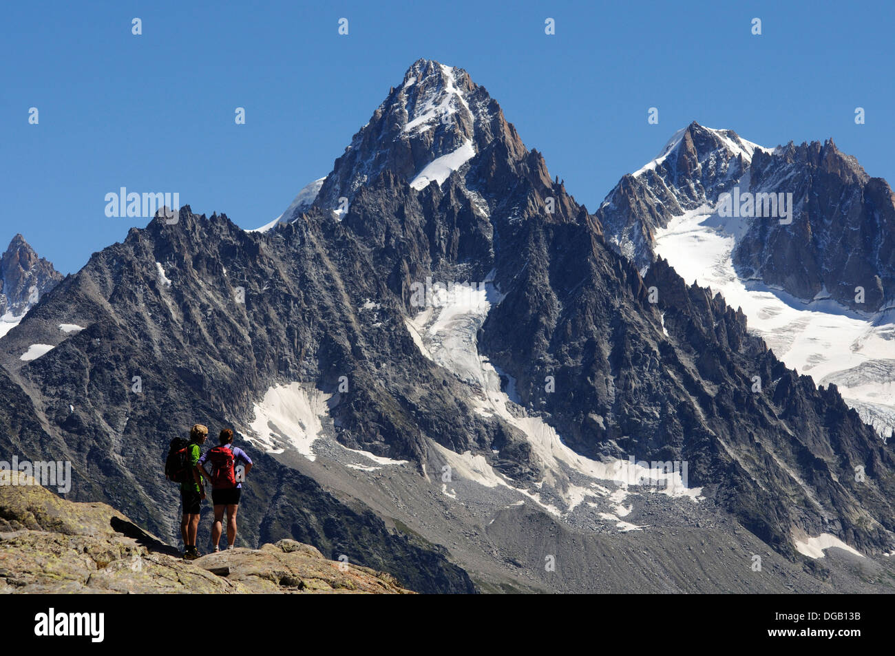 Chardonnet hi-res stock photography and images - Alamy