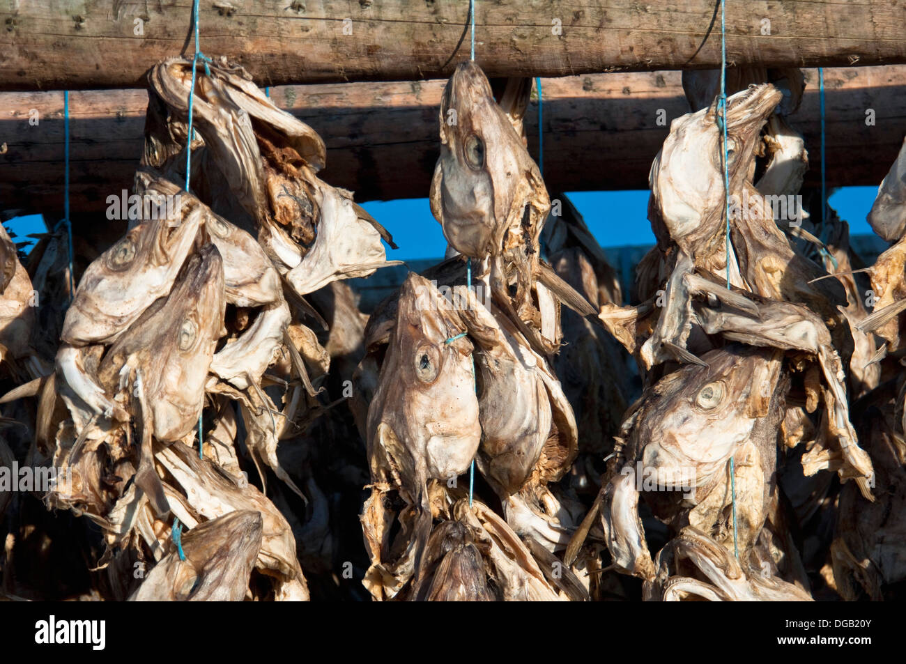 Traditional food iceland hi-res stock photography and images - Alamy