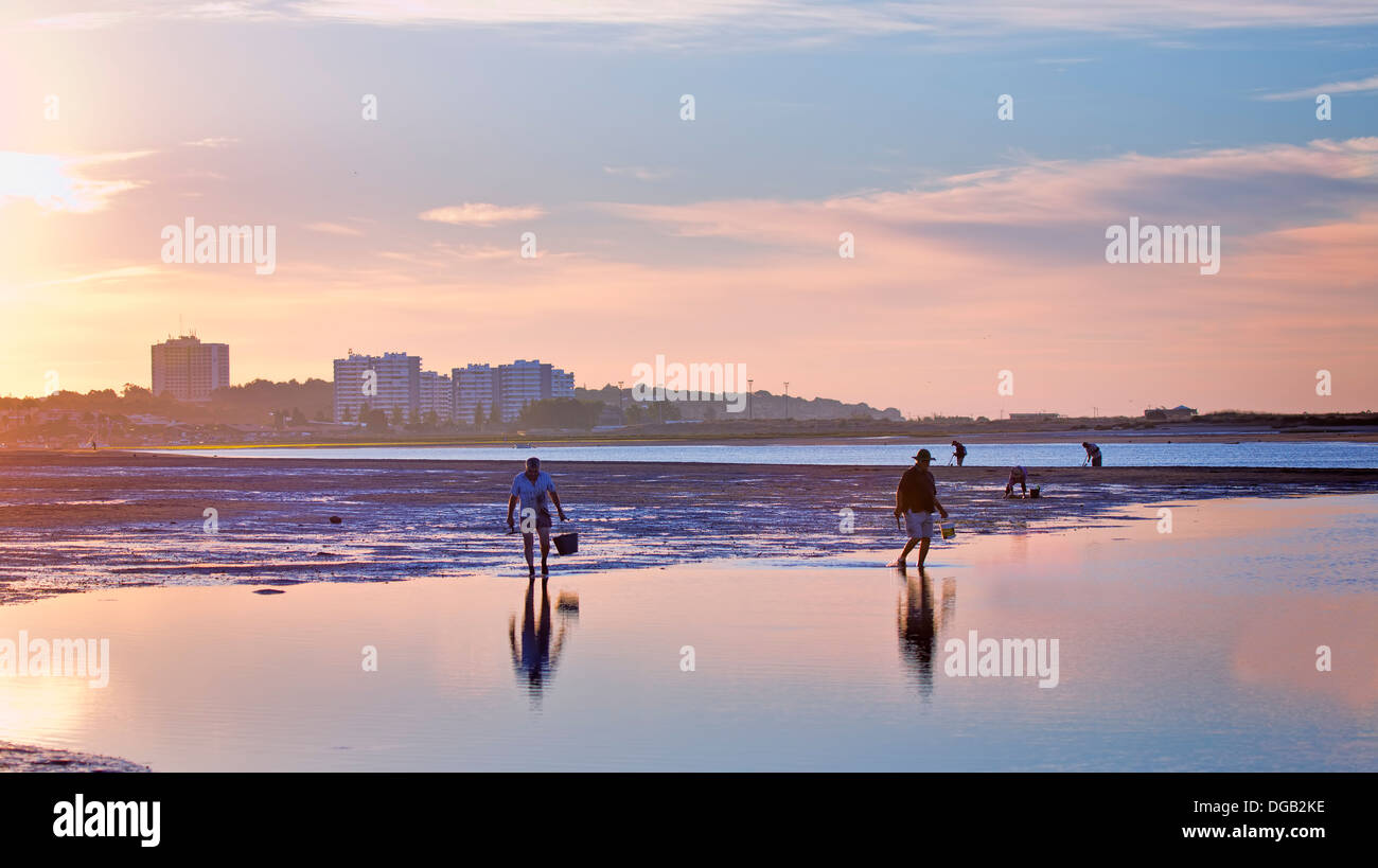 Cockle Picking High Resolution Stock Photography and Images - Alamy