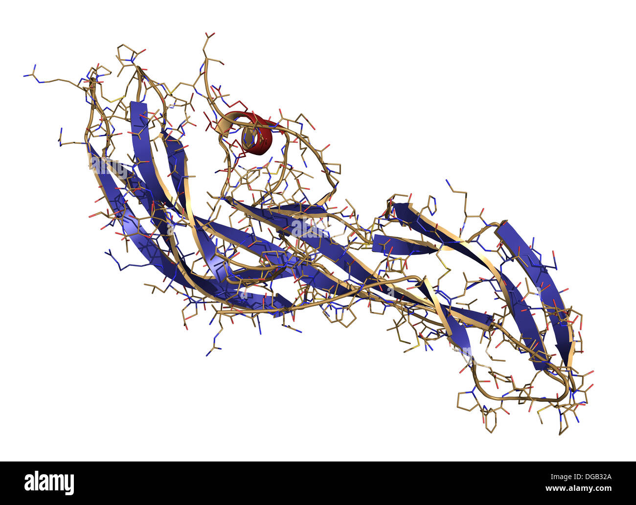 Human Chorionic Gonadotropin (hCG) glycoprotein hormone, chemical ...