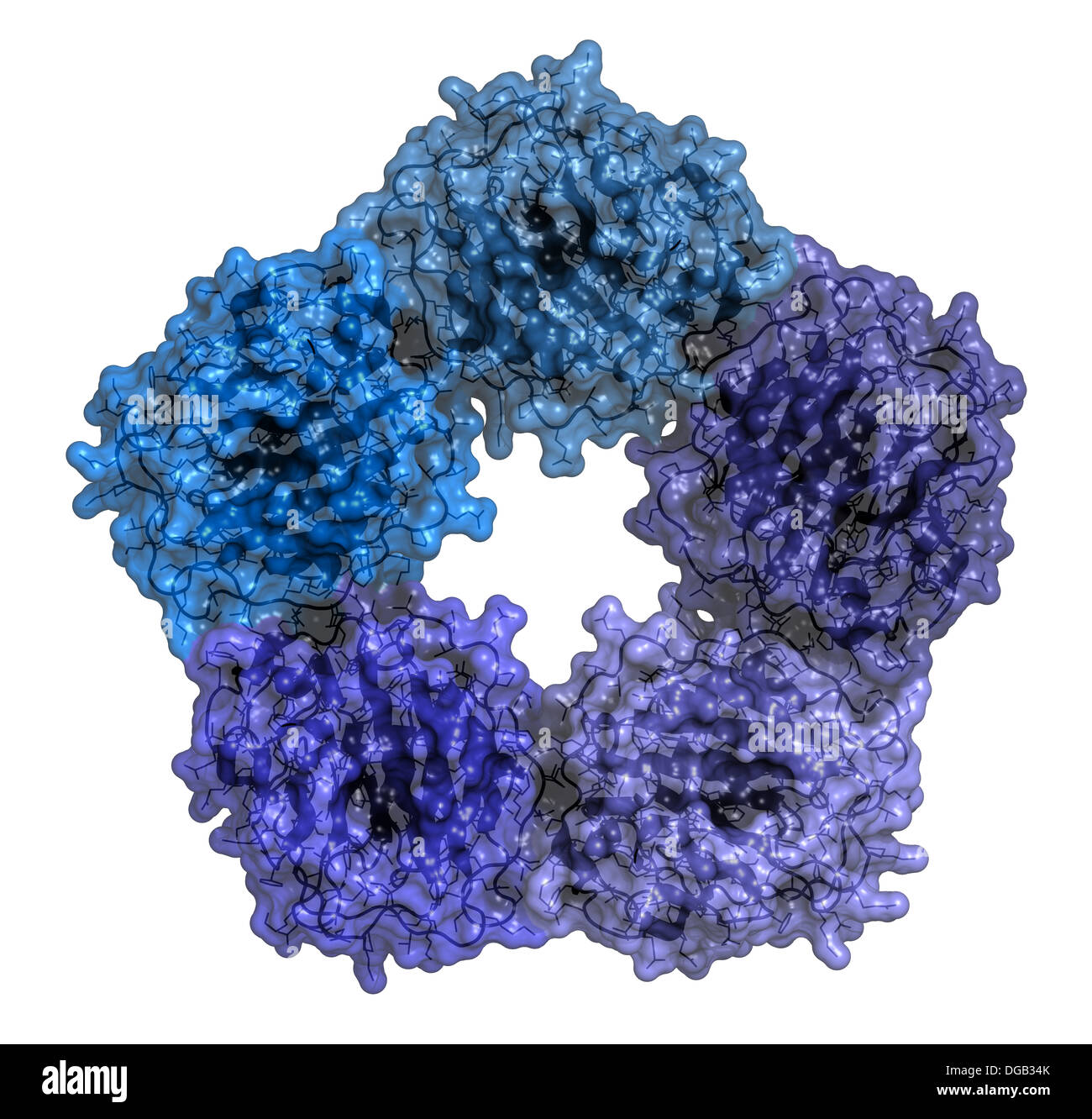 C-reactive protein (CRP, human) inflammation biomarker. Infections and ...
