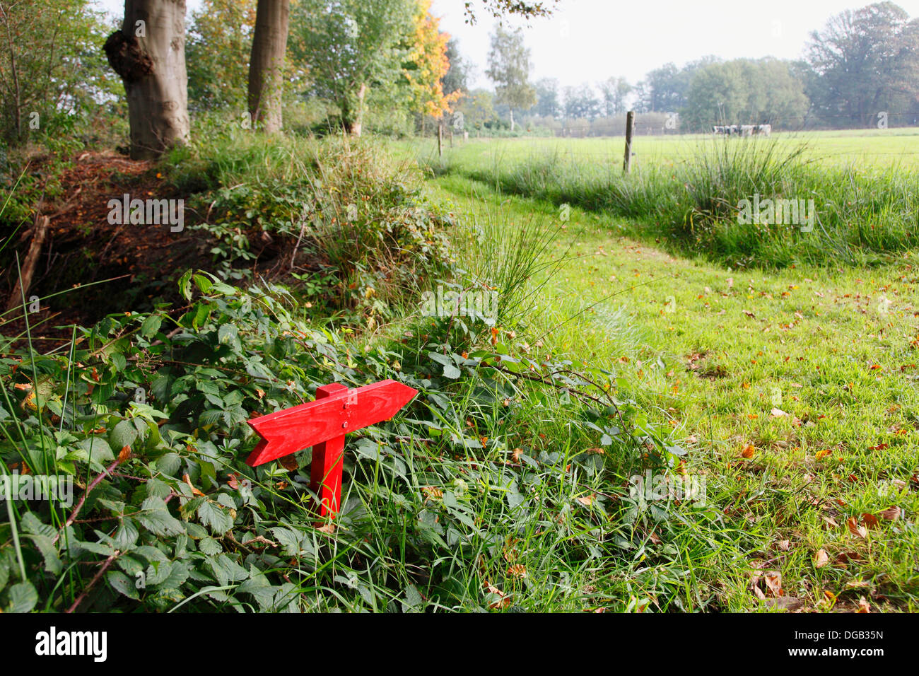 Red arrow shows the way to go hi-res stock photography and images - Alamy