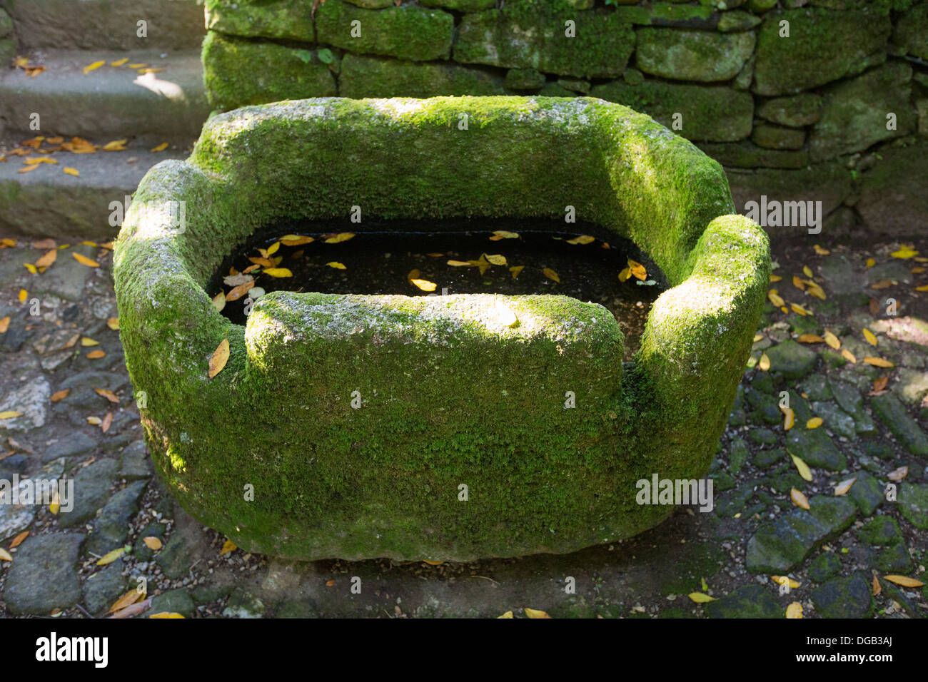 An ancient granite stone trough in the gardens of Godolphin house a ...