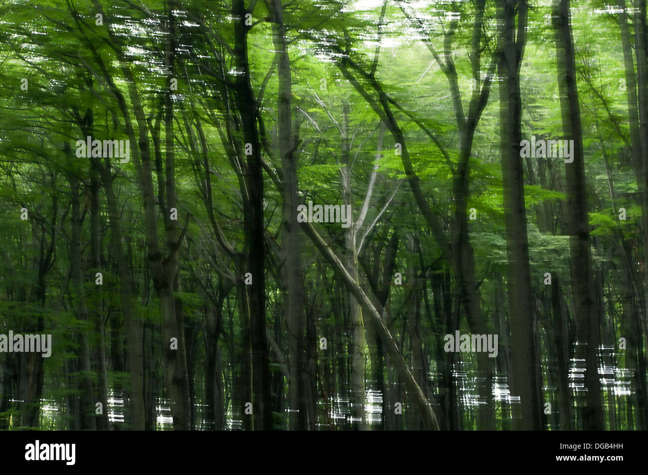 Motion movement hi-res stock photography and images - Alamy