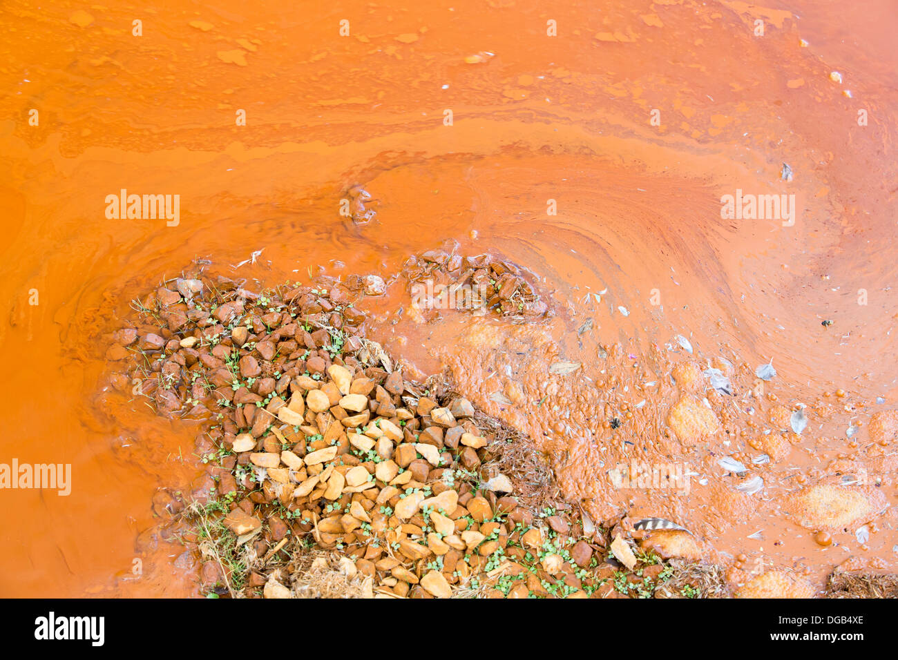 Contaminated mine effluent from water draining out of wheal Jane, an ...