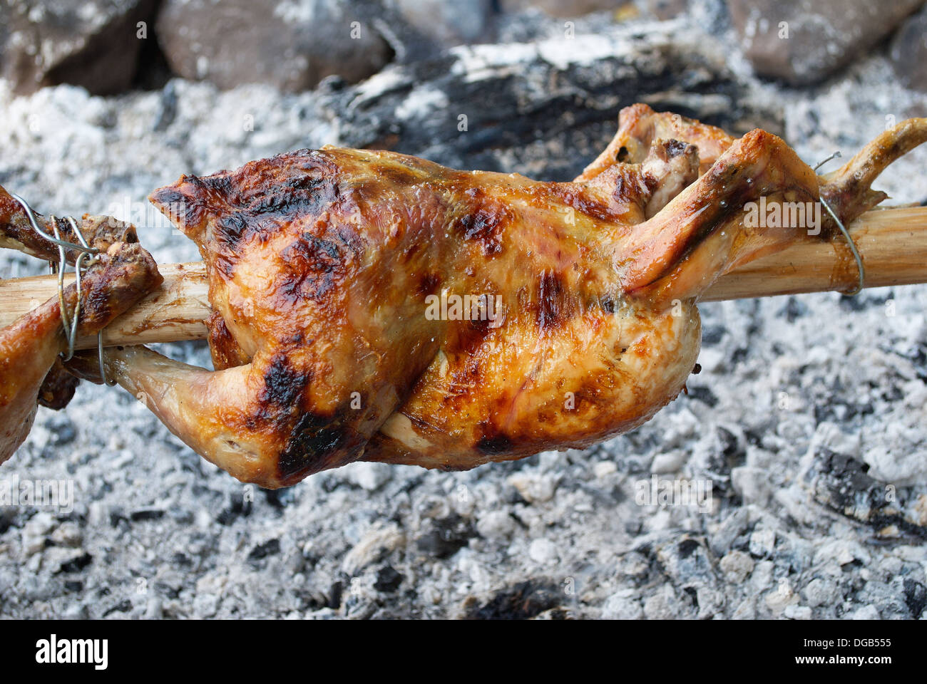 Roasting chicken on open fire and live charcoals, outdoor picnic Stock ...