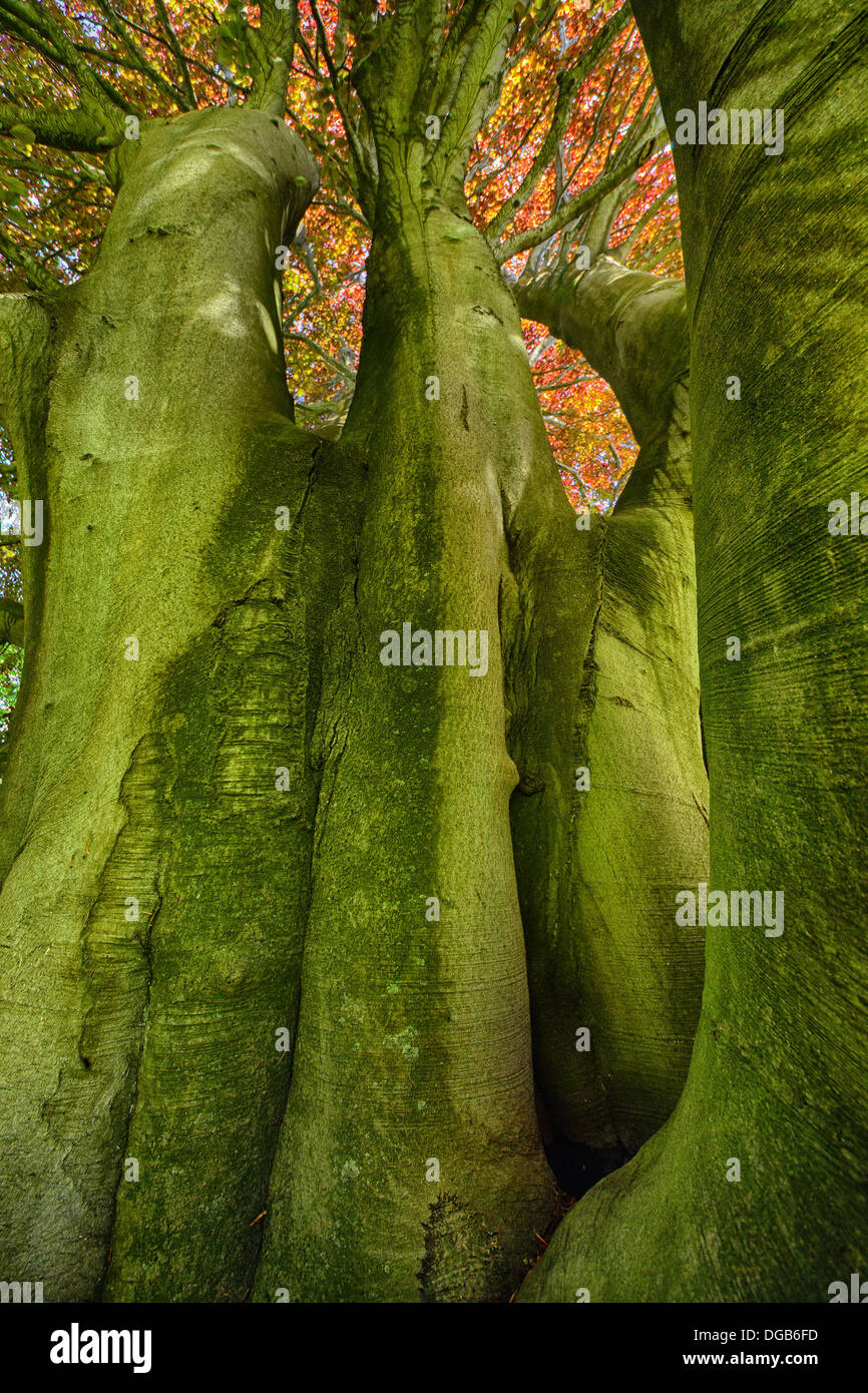 Peculiar shape hi-res stock photography and images - Alamy