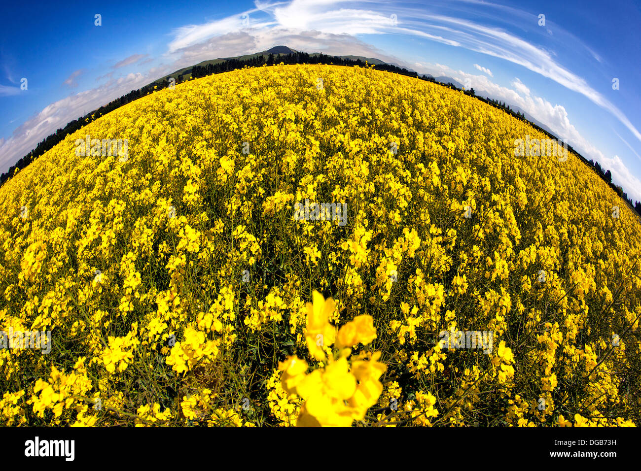 The Earth is round Stock Photo - Alamy
