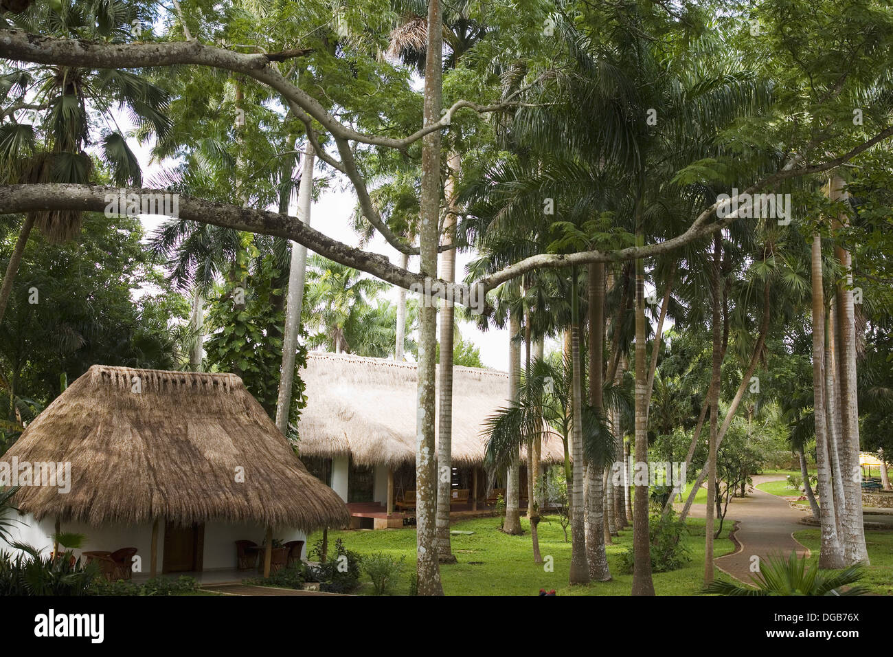 Mayaland hi-res stock photography and images - Alamy