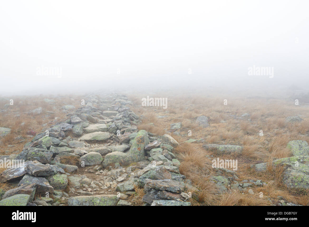 Foggy conditions along the Appalachian Trail (Franconia Ridge Trail ...