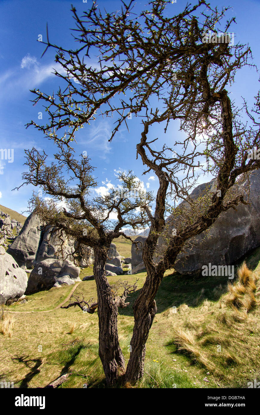 Castle Hill, South Island, New Zealand. In 2002 it was named a ...