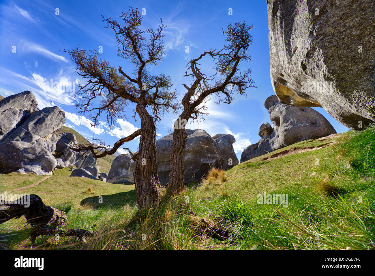 Castle Hill, South Island, New Zealand. In 2002 it was named a ...