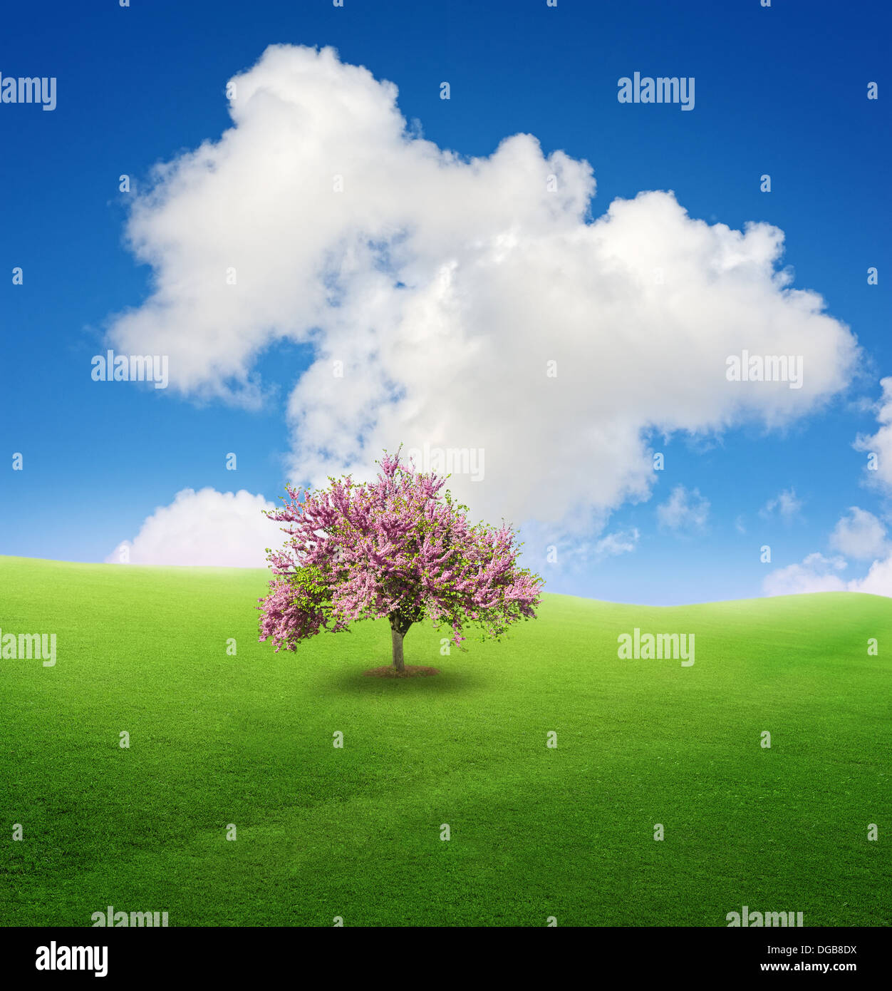 Legendary tree hi-res stock photography and images - Alamy
