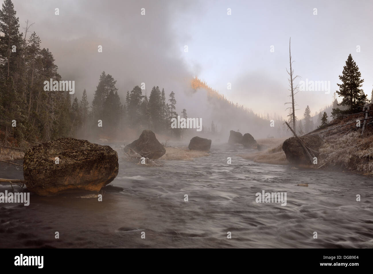 Beryl springs hi-res stock photography and images - Alamy