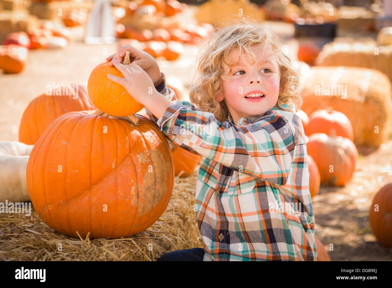 Adorable Little Boy Sitting and Holding His Pumpkin in a Rustic Ranch ...