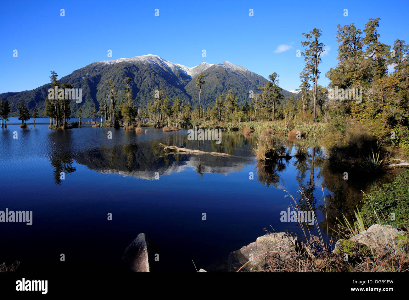 Brunner hi-res stock photography and images - Alamy