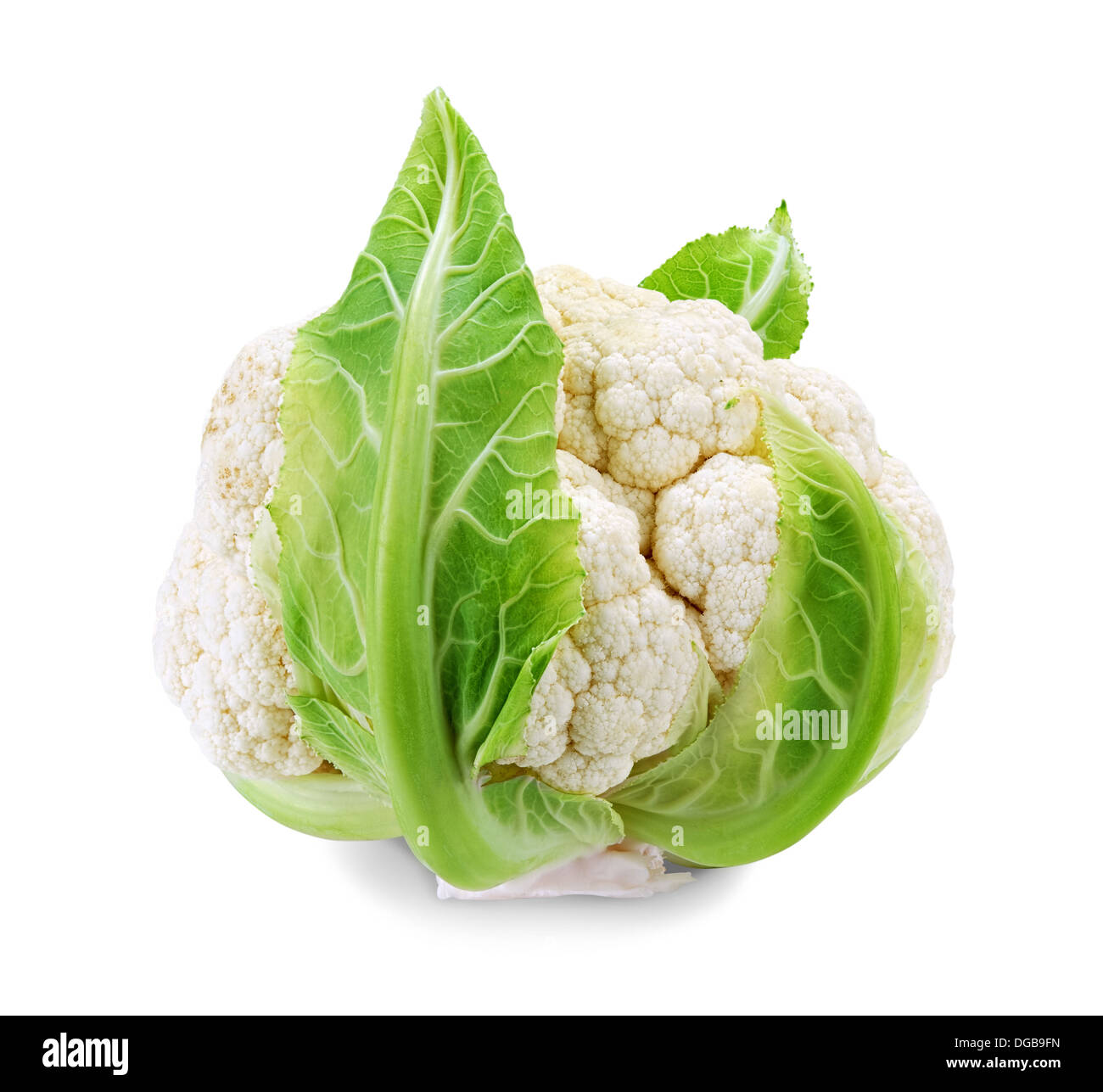 Whole fresh cauliflower isolated on white background Stock Photo - Alamy
