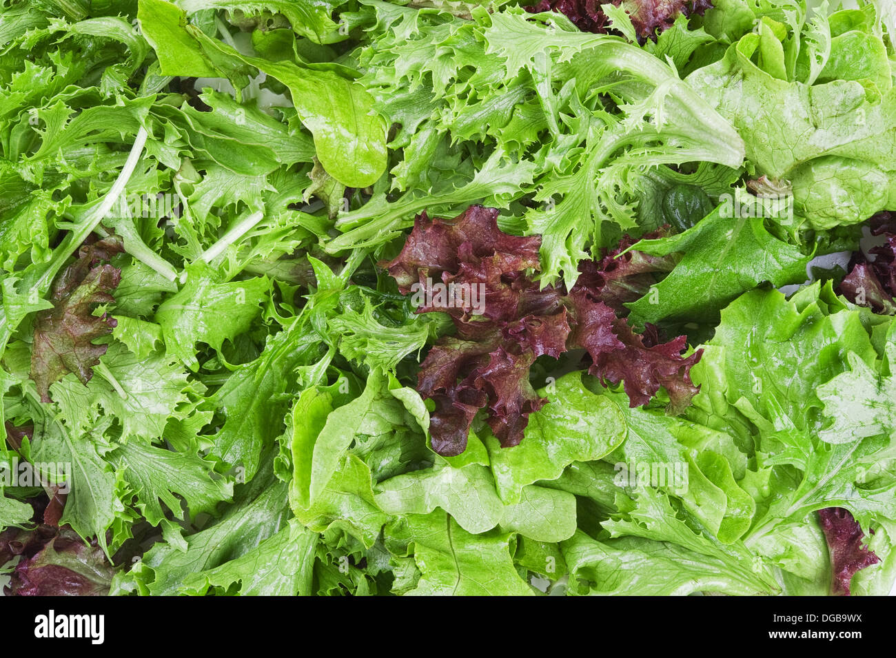 pile of fresh green lettuce mix Stock Photo - Alamy