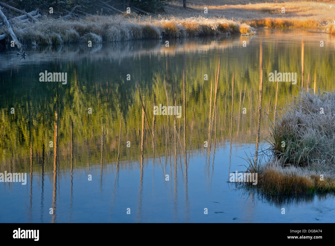 Reflections in the Gibbon River Yellowstone NP Wyoming USA Stock Photo ...