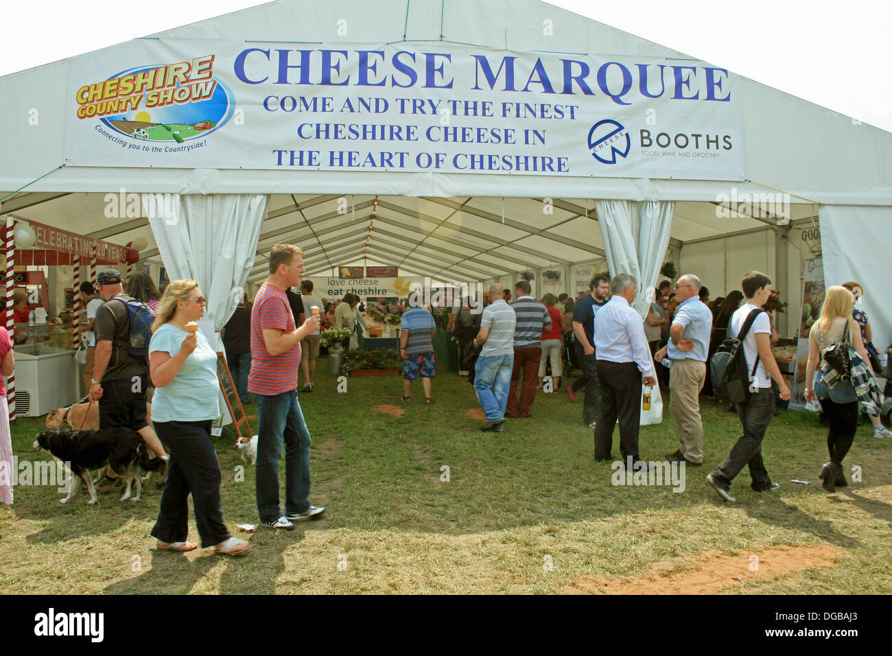 Cattle marquee hi-res stock photography and images - Alamy