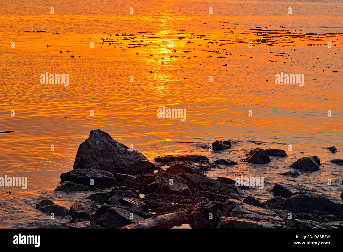 Shoreline rocks at sunrise at Clover Point Victoria British Columbia ...