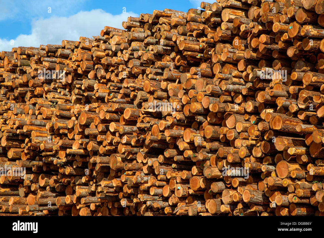 Logging pile hi-res stock photography and images - Alamy