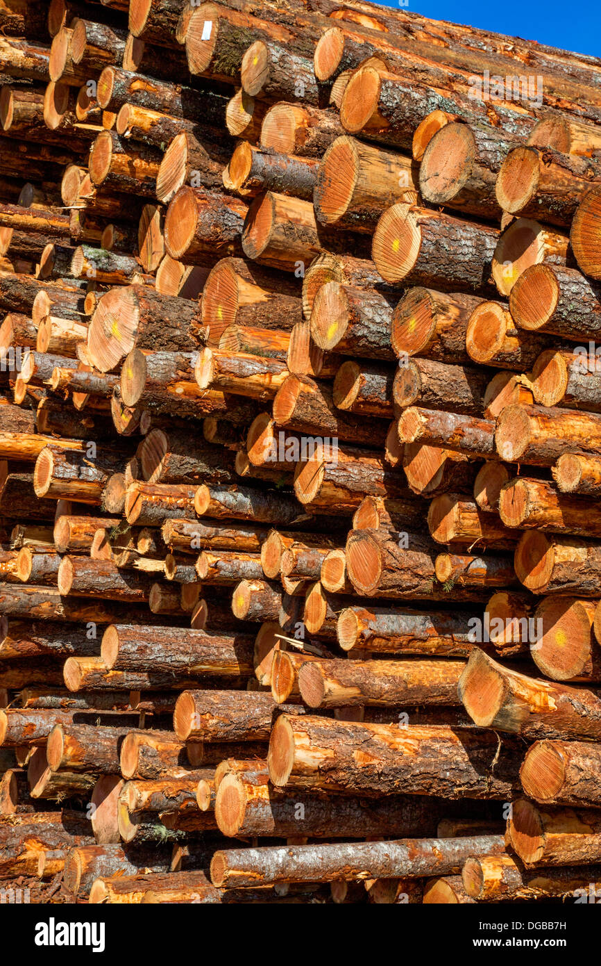Large log pile in Oregon Stock Photo - Alamy