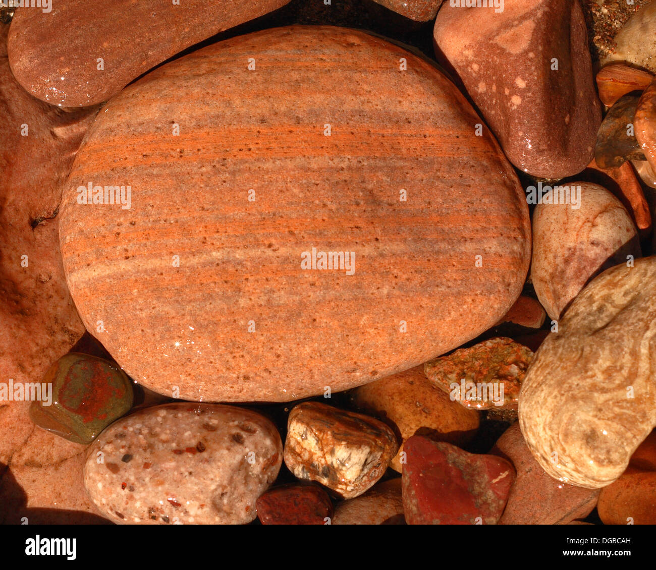 Salt river arizona hi-res stock photography and images - Alamy