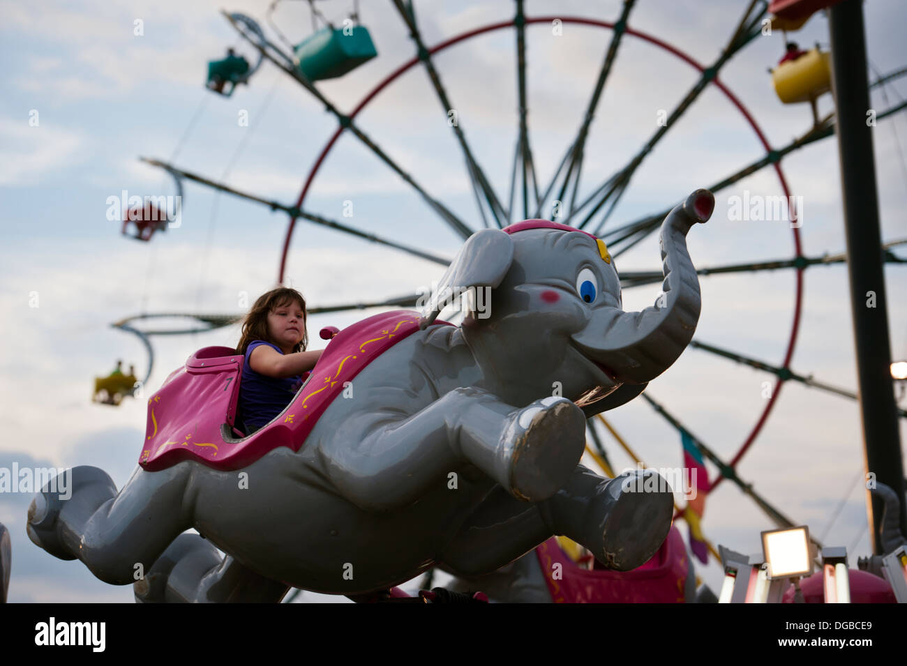 Elephant Ride South Carolina at Victoria Melrose blog