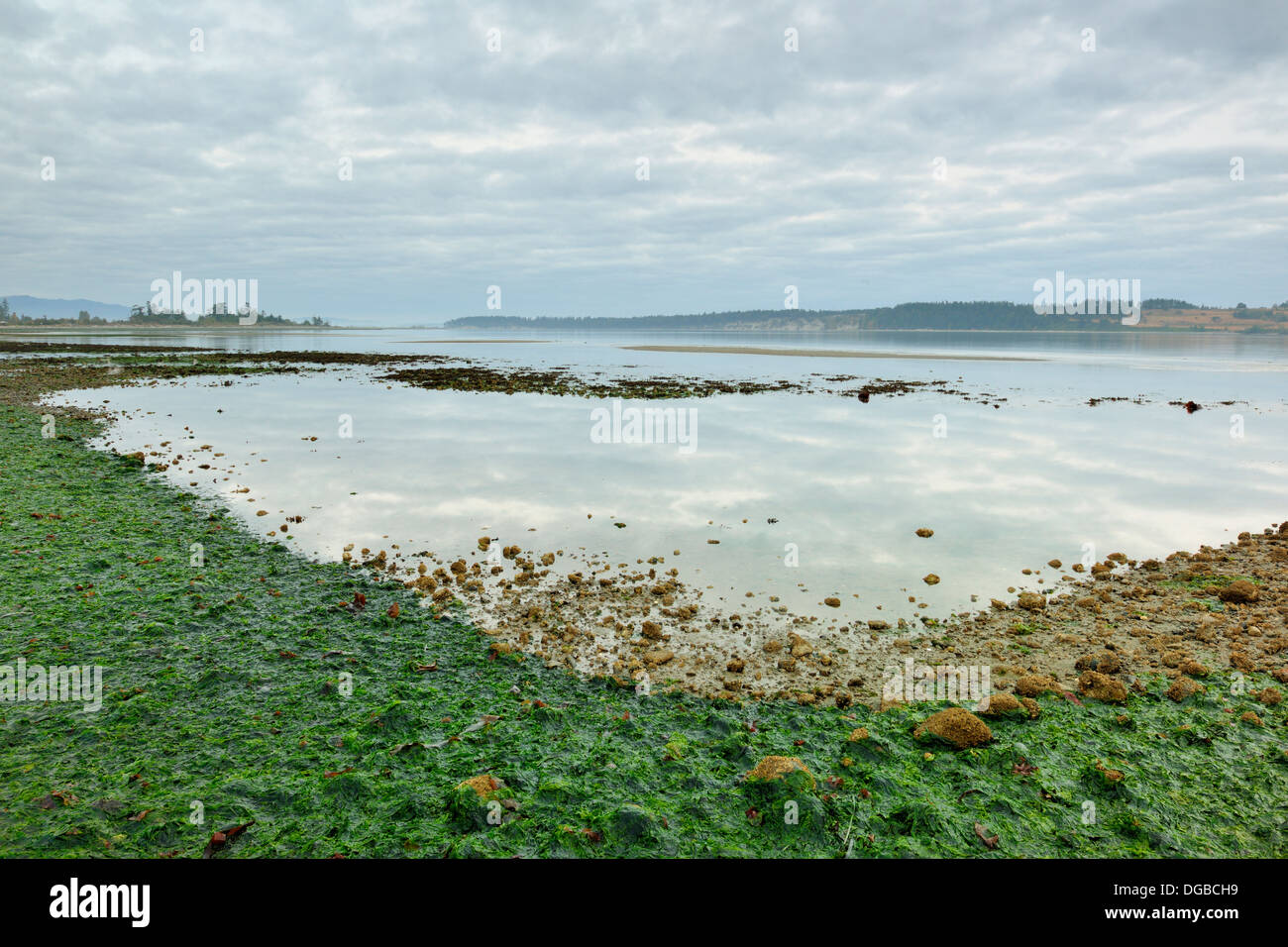 Island View Beach Regional Park at low tide East Saanich First Nation ...
