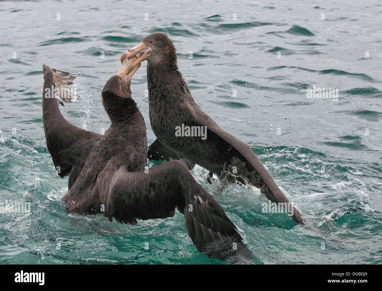 Michael mathews hi-res stock photography and images - Alamy