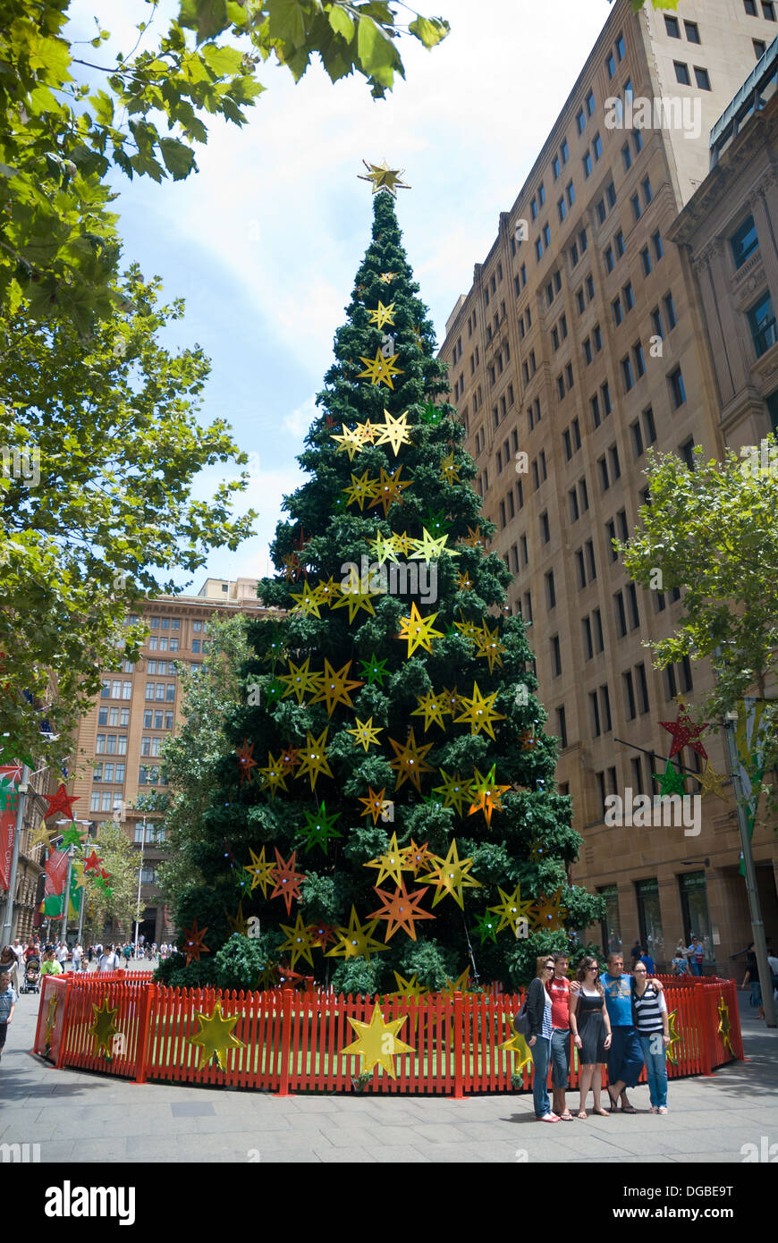 Every Christmas, an enormous Christmas tree is erected in Martin Place ...