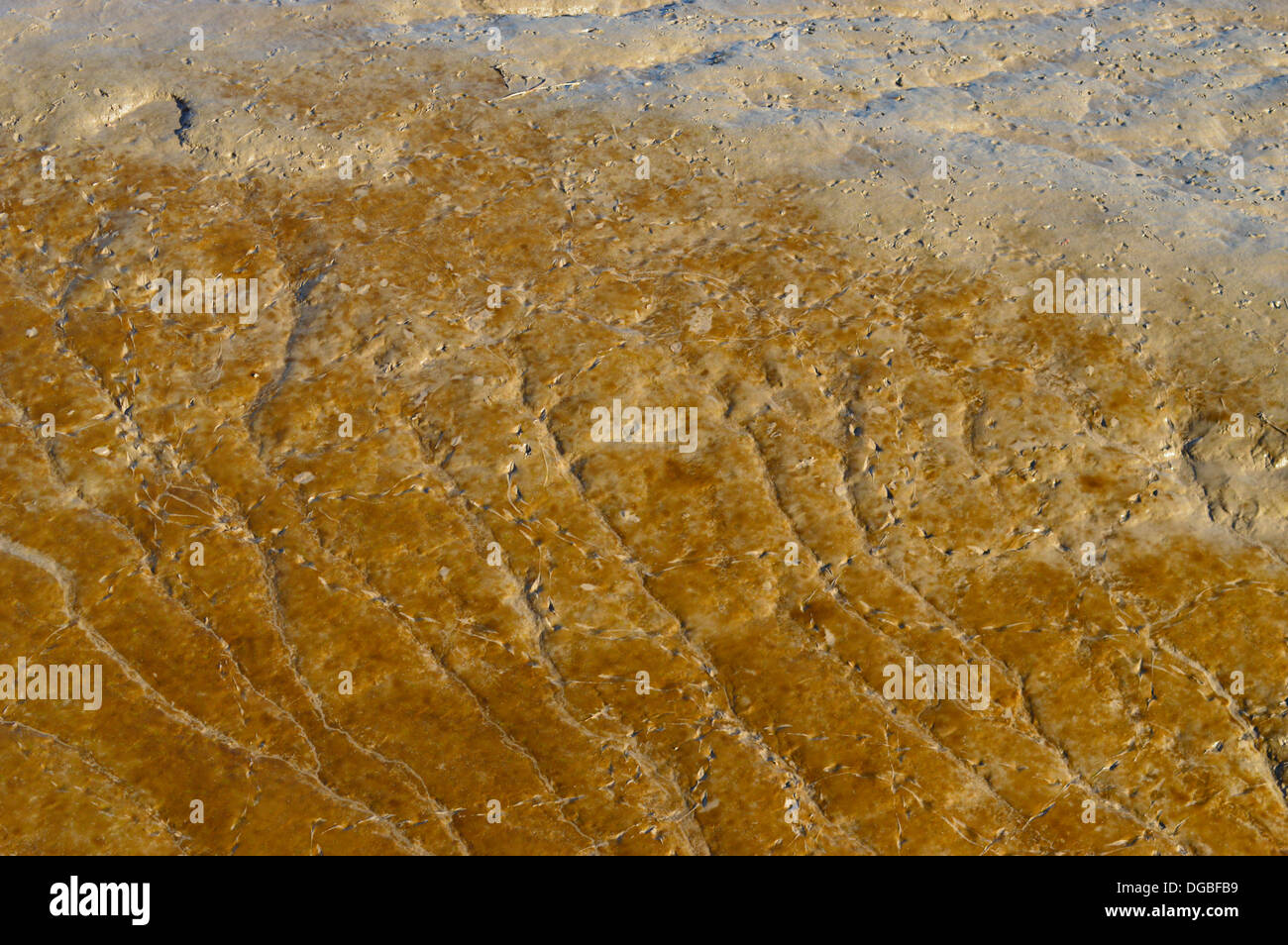 River or estuary mud with channels Stock Photo - Alamy