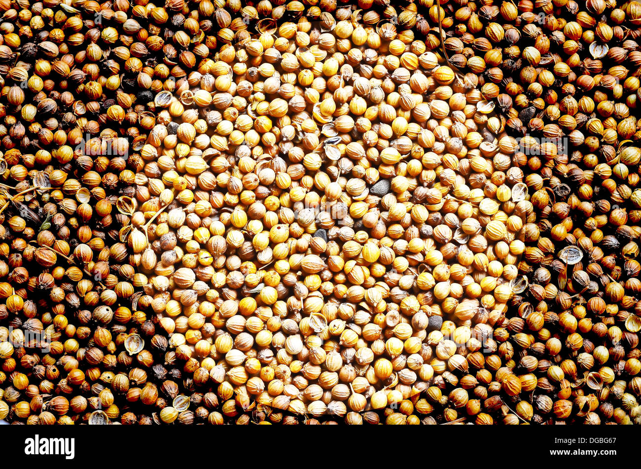 Middle light hi-res stock photography and images - Alamy